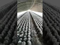 Trusted and Audited Supplier — Find the Right Sun Shade Net Manufacturers in China。Quality Sun Shade Net 100% New HDPE Agricultural Windbreak Black Sun Shade Nets