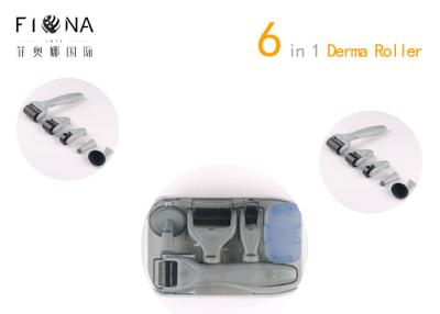 Cina 6 in 1 rullo di derma hanno messo 12/300/720/1200 di dermaroller di titanio di terapia dell'ago degli aghi micro in vendita