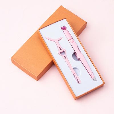 China Stainless Steel Eyebrow Tweezers Set Featuring Pointed and Slanted Tip for sale