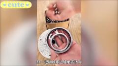 How Are Steel Balls Installed in a Ball Bearing? | Bearing Assembly Process