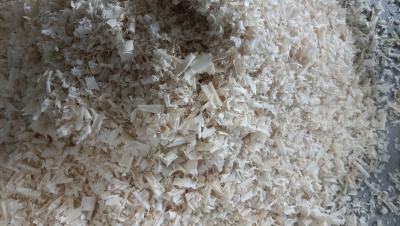 China Comfortable Wood Shavings Used As Bedding Material For Cows for sale