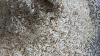 Cina I trucioli di legno leggeri macinano la sostanza assorbente ampiamente usata come materiale di lettiera per i maiali in vendita