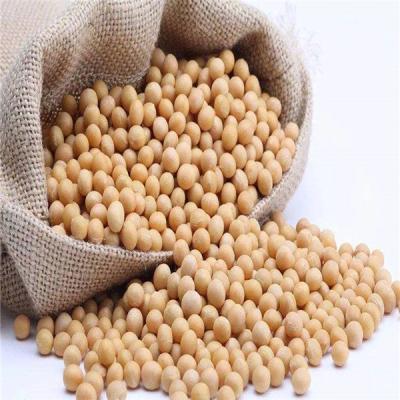 Cina essiccatore di grano mobile di 3600kg 60HP 28000m3/H per l'azienda agricola in vendita