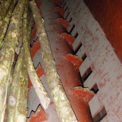 China Four Edged Knives Double Shaft 15T/H Wood Debarking Machine for sale