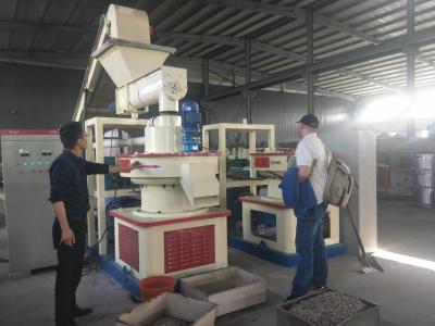 China 160kw Sawdust Biomass Pellet Machine For Producing Biomass Briquette for sale