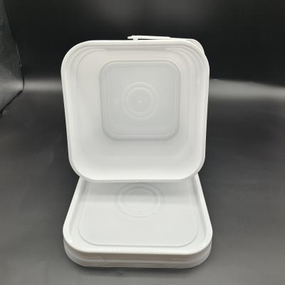 China 100% PP 2L 3L 5L 10L Square Shaped Plastic Bucket Anti Fall Screen Printing en venta