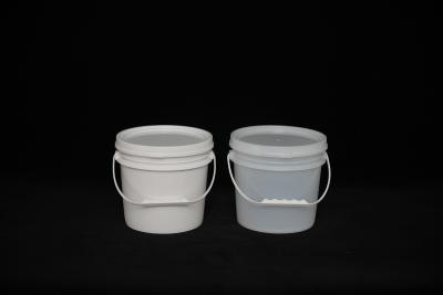 Cina Customized Transparent Plastic Bucket With Snap On Lid For Indoor And Outdoor Use in vendita