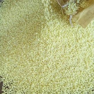 China Sulfur Coated Urea for sale