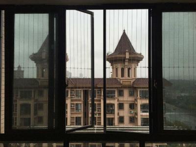 China Window Invisible Grille Easy To Clean Vertical Horizontal Opening Direction Ideal for Architects Seeking and Discreet Security Options for sale