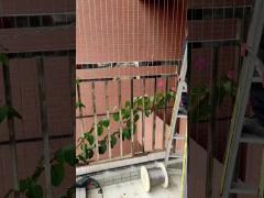 Vast Balkon Onzichtbaar Traliewerk 316 Roestvrije Draad voor Flatgebouw met koopflatsbalkon en Windown
