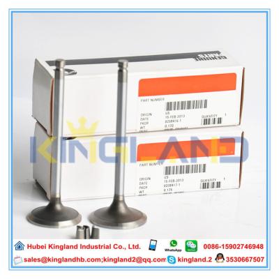 China diesel engine K19 KTA19 KTAA19 exhaust valve insert 3088389 for sale