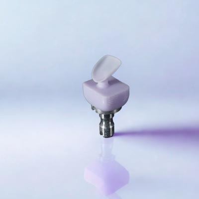 Cina Ceramiche dentali in vetroceramica per estetica Cera Beaming, corone in vetroceramica, materiali di consumo dentali in vendita