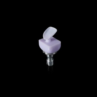 Cina Ceramiche vetrose dentali OEM 0,5 mm in odontoiatria ad alta resistenza in vendita