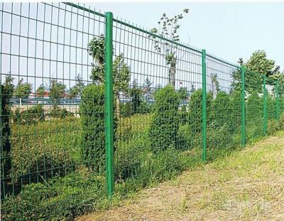 China Chain Link Fence  For Playground and Airport for sale