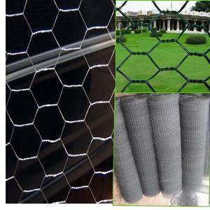 China Gabion Basket Mountain Protect Mesh Protective Fence 80mm x 100mm for sale