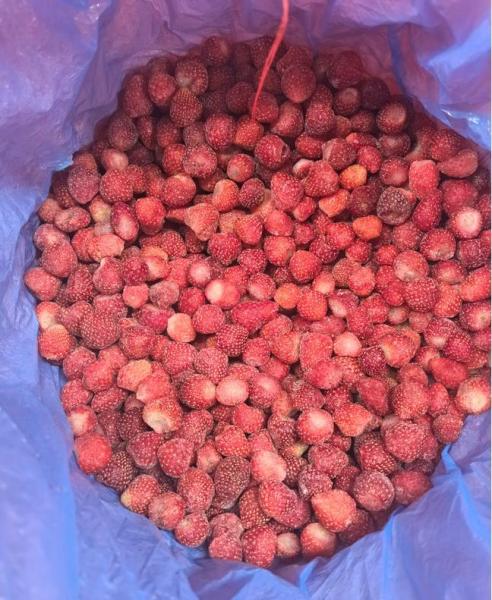 Quality 2025 New Crop Iqf Strawberry Whole A13 Frozen Strawberry Whole Frozen Fruits for sale
