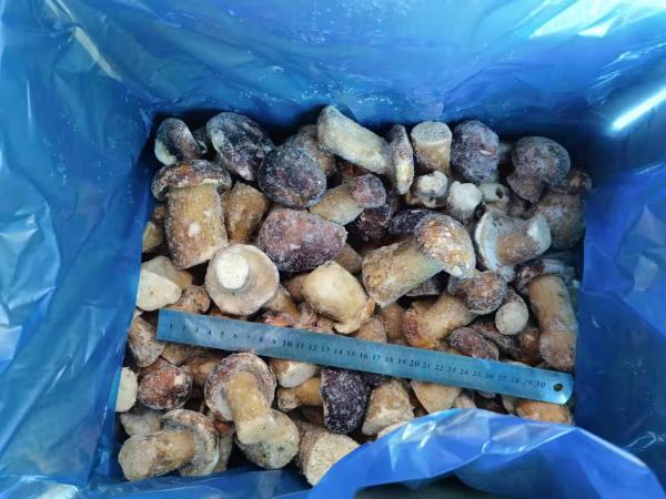 Quality 2025 New Crop high quality frozen Boletus Edulis Mushrooms for sale