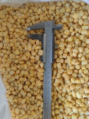 China New Harvest Frozen Vegetable Super Sweet Corn Kernels for Export to Worldwide Markets for sale