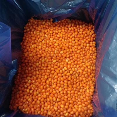 China Top of Frozen Fruit IQF Sea buckthorn 100% Natural No GMO BRC/Halal/Kosher Certified 24 Months Shelf Life 10kg per Case for sale