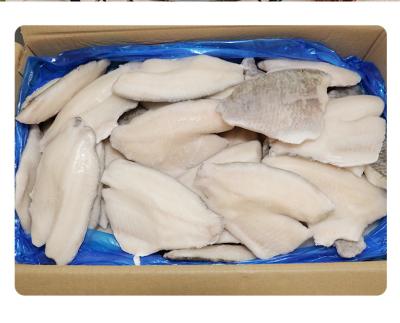 Chinese Goede kwaliteit IQF Vers Bevroren Hele Tilapia Vis Fillet Zeevruchten Groothandelsprijs