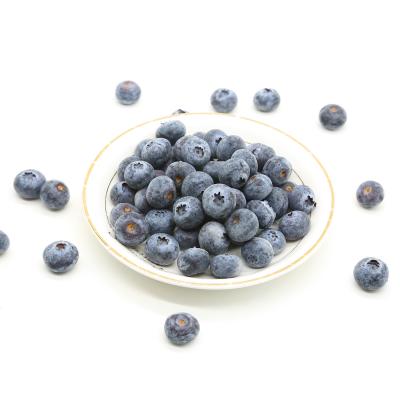Warm verkochte bevroren vruchten IQF bosbessen 10 kg bevroren bosbessen in bulk