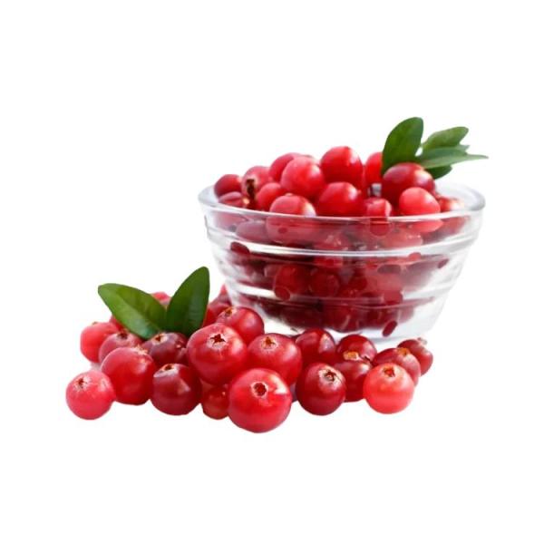 Quality OEM/ODM Hot Selling Economical Bulk IQF Frozen Lingonberry High Demand IQF Frozen Fruit for sale
