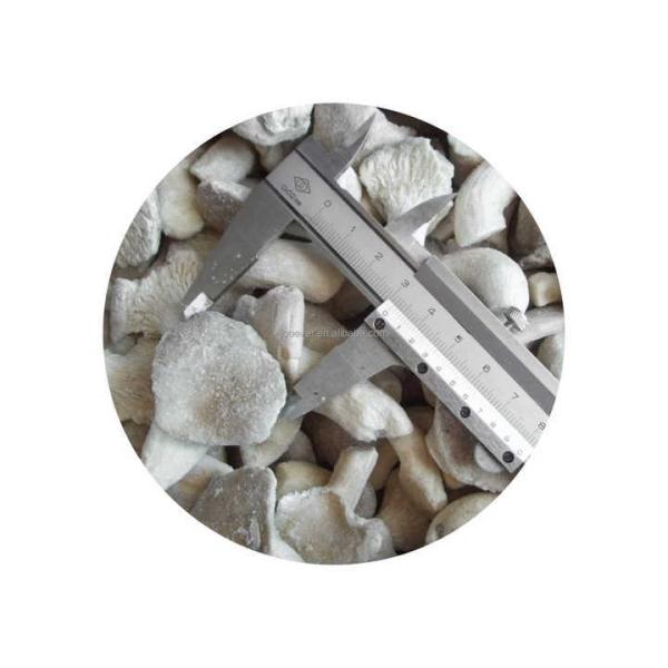 Quality China HACCP BRC IQF Frozen Baby Oyster Mushroom Product for sale