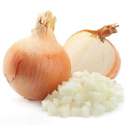 China OEM/ODM High Quality and Factory Price IQF Wholesale Frozen Onion Slices IQF Onion Dices in Bulk for Wholesale and Retail for sale