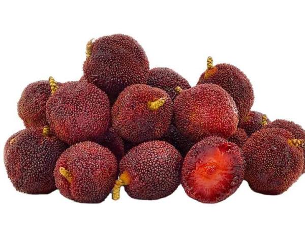 Quality Frozen Fruits IQF Red Round Yangmei Bayberry Factory Price Bulk Frozen Waxberry for sale