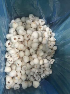 2025 NUOVO RACCOLTO Litchi IQF di Alta Qualità