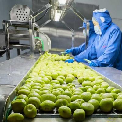 China Kiwi Fruit Frozen Fruit Frozen Kiwi Ball Quality Natural for sale