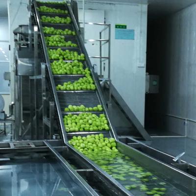 China Kiwi Fruit Frozen Fruit Frozen Kiwi Ball Quality Natural for sale