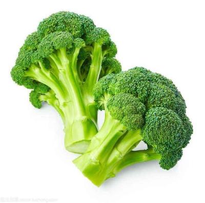China High Quality IQF Factory Frozen Vegetables Wholesale Price Frozen Broccoli for sale