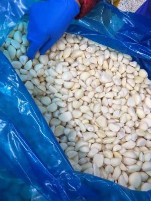 最高の冷凍野菜 冷凍IQF 皮を剥がしたニンニクニンギ ダイスとピュアを競争力のある価格で入手してください