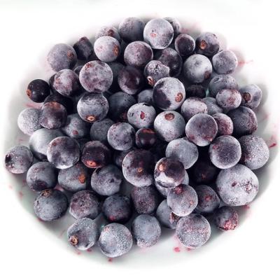 2025 New Corp Topkwaliteit Goede prijs IQF Bevroren zwarte bessen Bevroren fruit