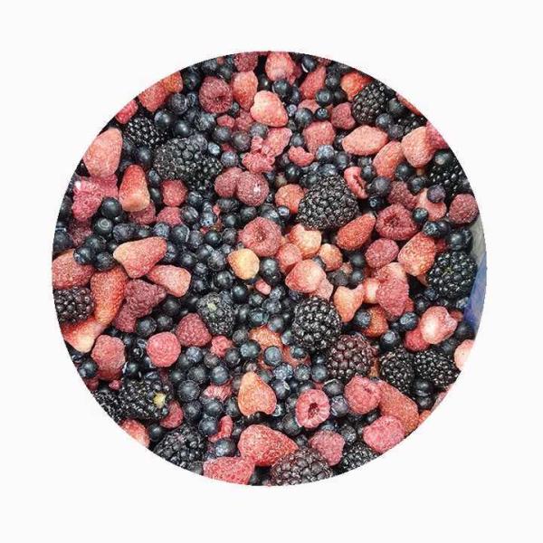 Quality Fresh IQF Frozen Mixed Berries Blackberry Strawberry Raspberry Blueberry in Blackberry Strawberry Berries Style for sale