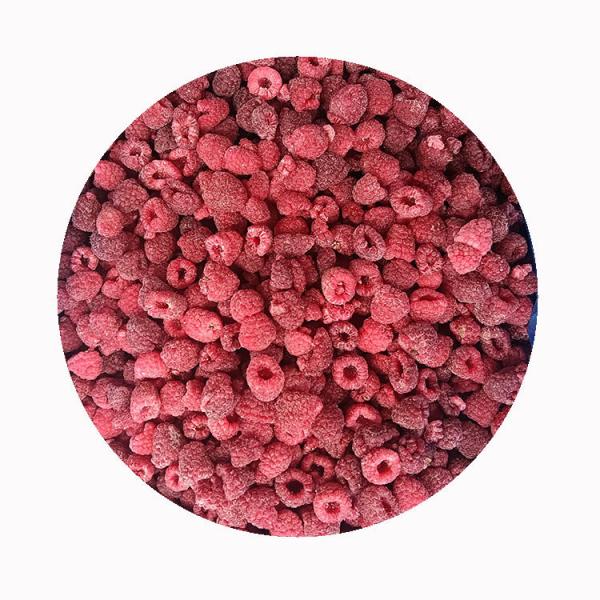 Quality High Quality Fresh Frozen Raspberry Handpicked for Sweet Taste for Juices Desserts Milkshakes for sale