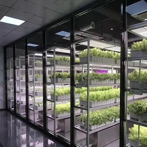 Greenhouse Container Roofing Sheet for Veggies