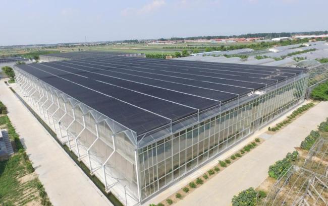 Greenhouse Container Roofing Sheet for Veggies