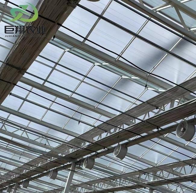 Container House Greenhouse for Vertical Farming with Hydroponics