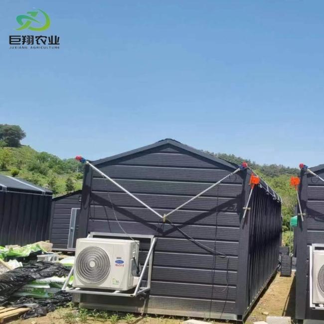 Container House Greenhouse for Vertical Farming with Hydroponics
