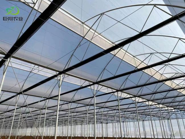 Tempred Glass Greenhouse for Cucumber