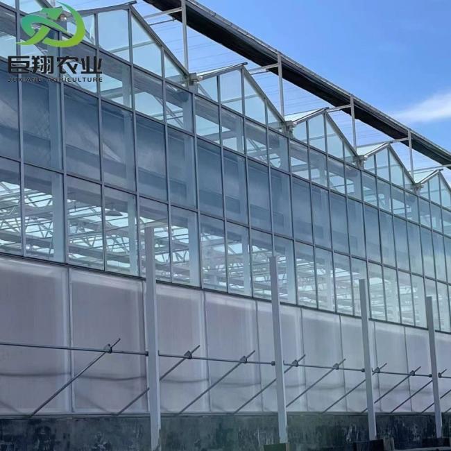 Hydroponics Greenhouse Double Layer Glass with Climate Control System for Exhibition/Agriculture/Farming