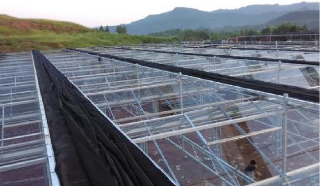 Hydroponics Greenhouse Double Layer Glass with Climate Control System for Exhibition/Agriculture/Farming