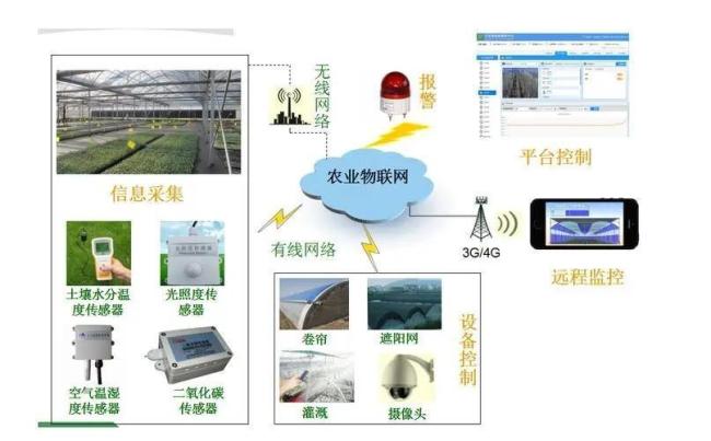 Hydroponics Greenhouse Double Layer Glass with Climate Control System for Exhibition/Agriculture/Farming