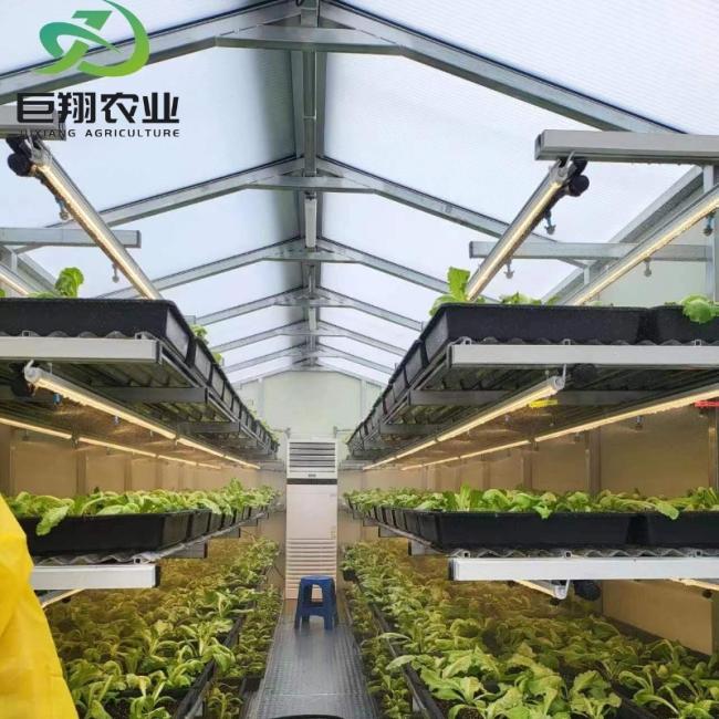 Hydroponics Greenhouse Double Layer Glass with Climate Control System for Exhibition/Agriculture/Farming