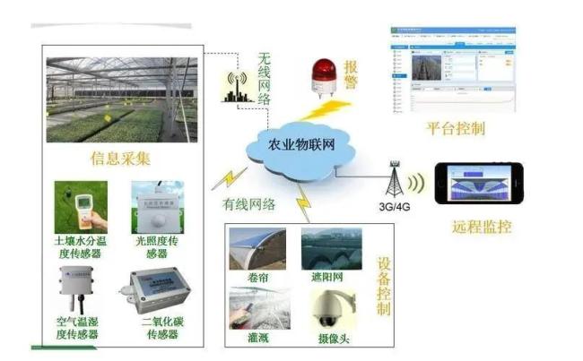Advanced Hydroponic System with Glass Greenhouse