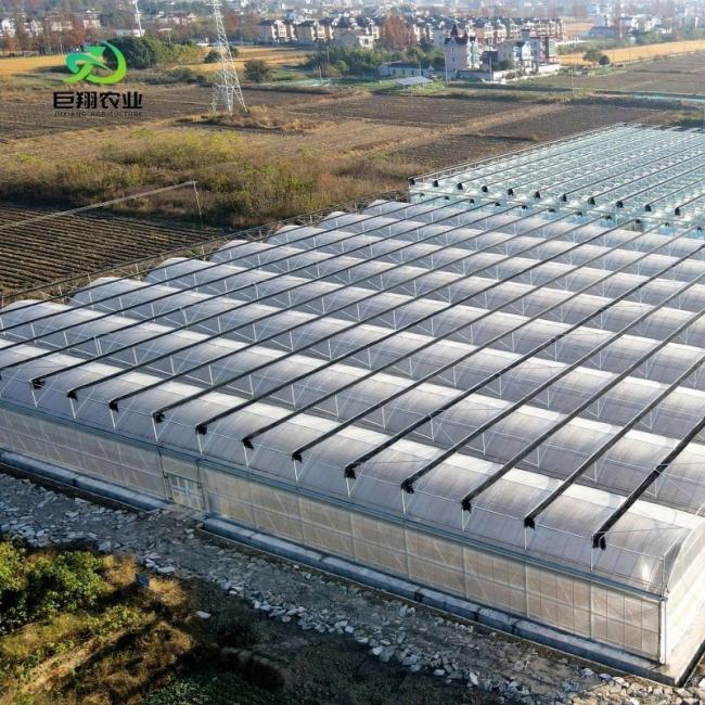 Advanced Hydroponic System with Glass Greenhouse