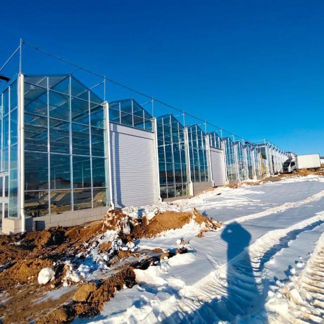 Efficient Hydroponic Growing System Glass Greenhouse
