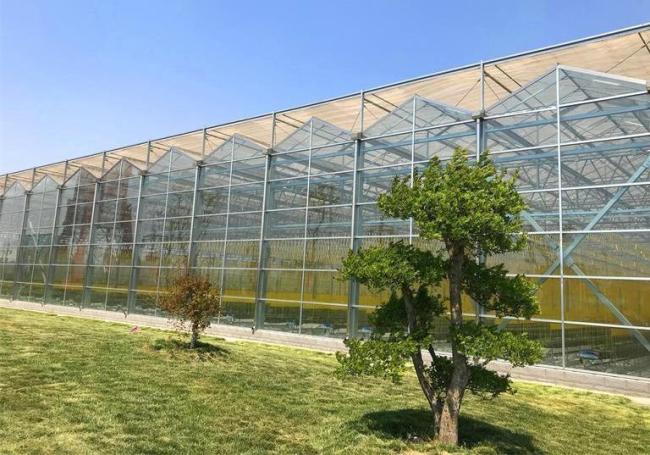 Anti-Drip Fogging Hydroponic Seedling Structure